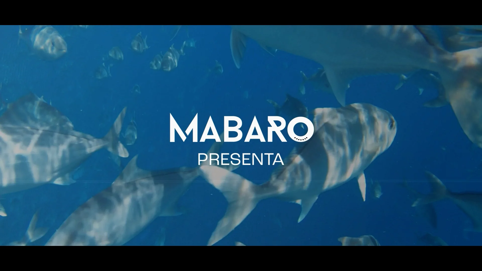 Showreel MABARO 2023 on Vimeo