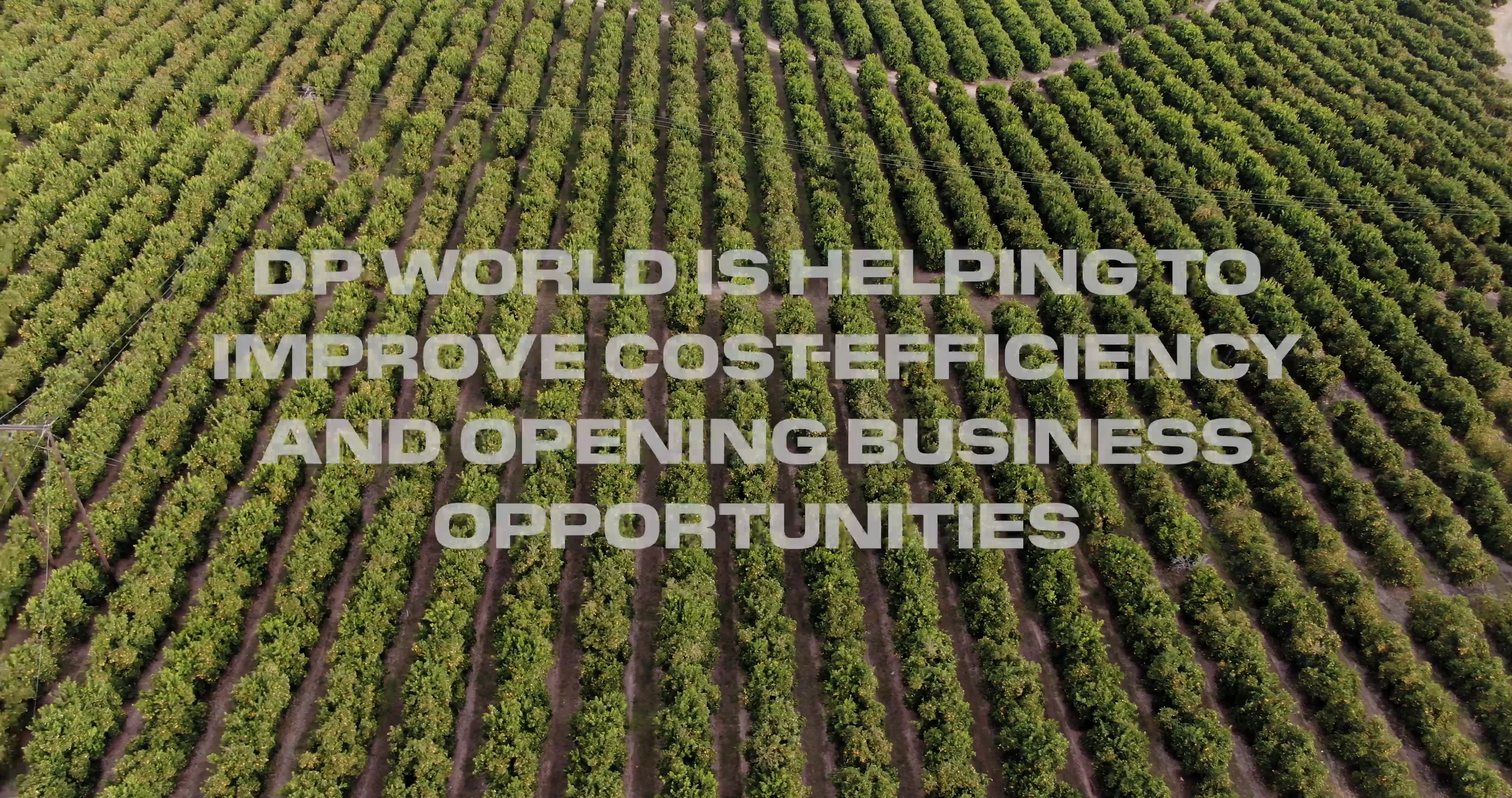 DP World in Maputo Corporate video 2023 on Vimeo