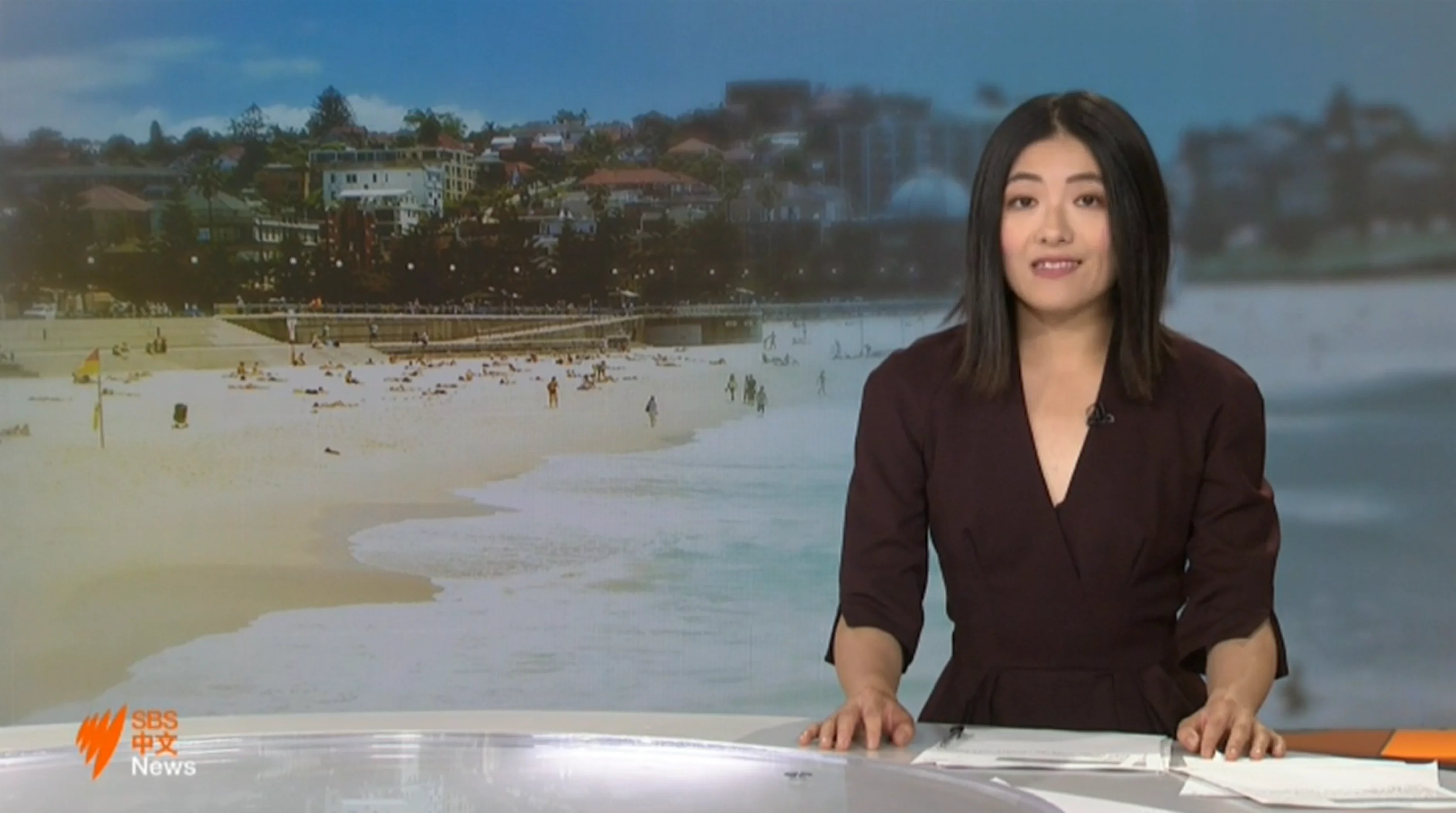 SBS Mandarin News - Coogee SLSC International Students - Dec 2022 on Vimeo