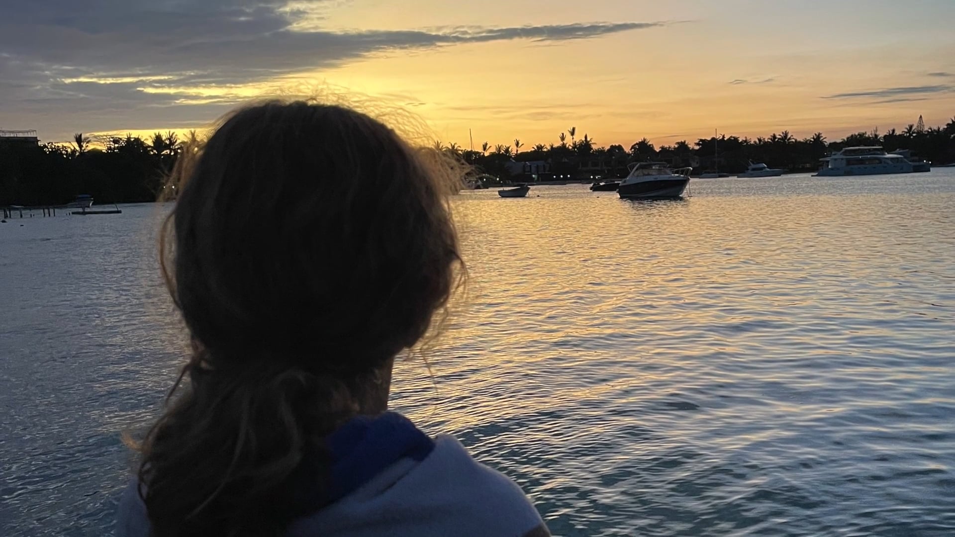 Reflection.mp4 on Vimeo