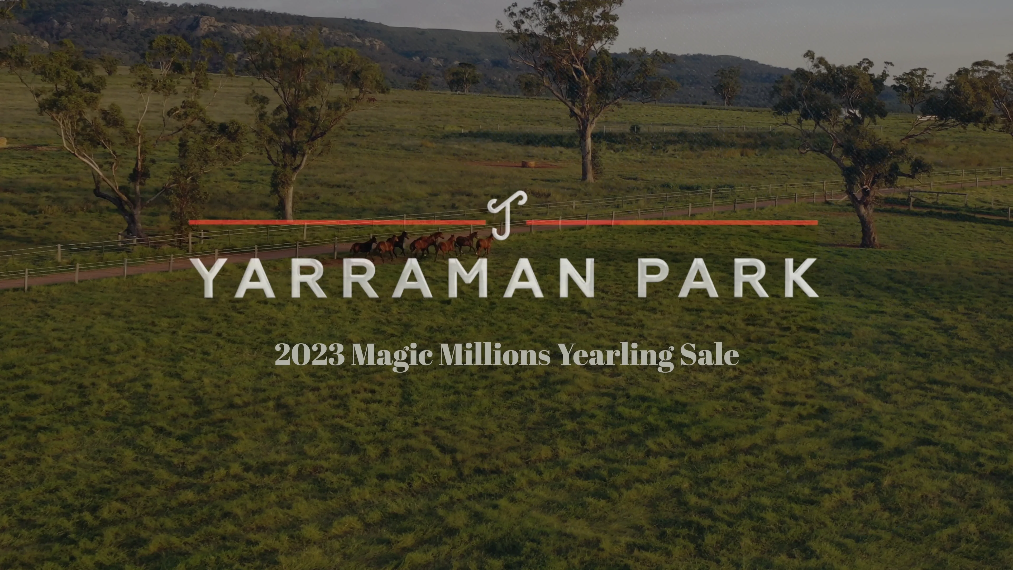 LOT 611 - I AM INVINCIBLE X ANDROMACHE - FILLY. on Vimeo