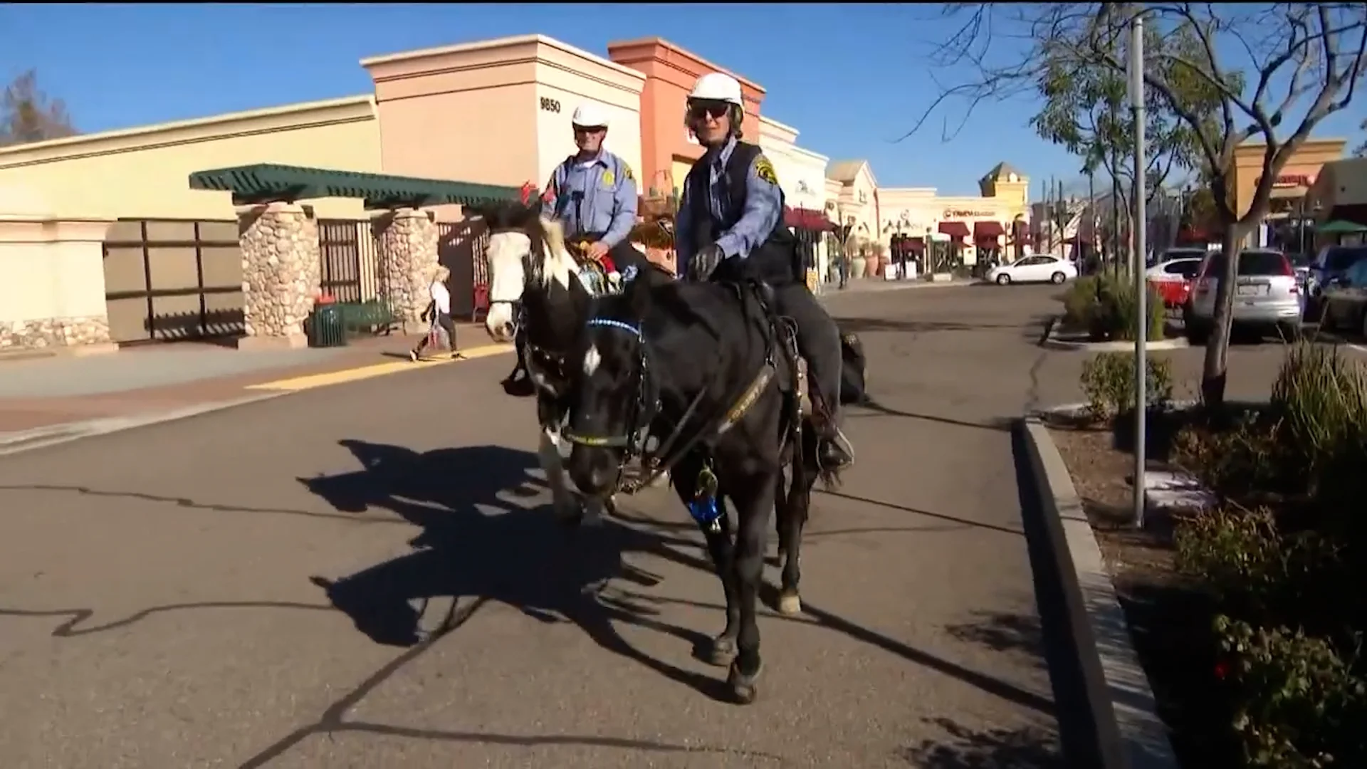 Sheriff's Volunteer Mounted Unit - San Diego County Sheriff's ...
