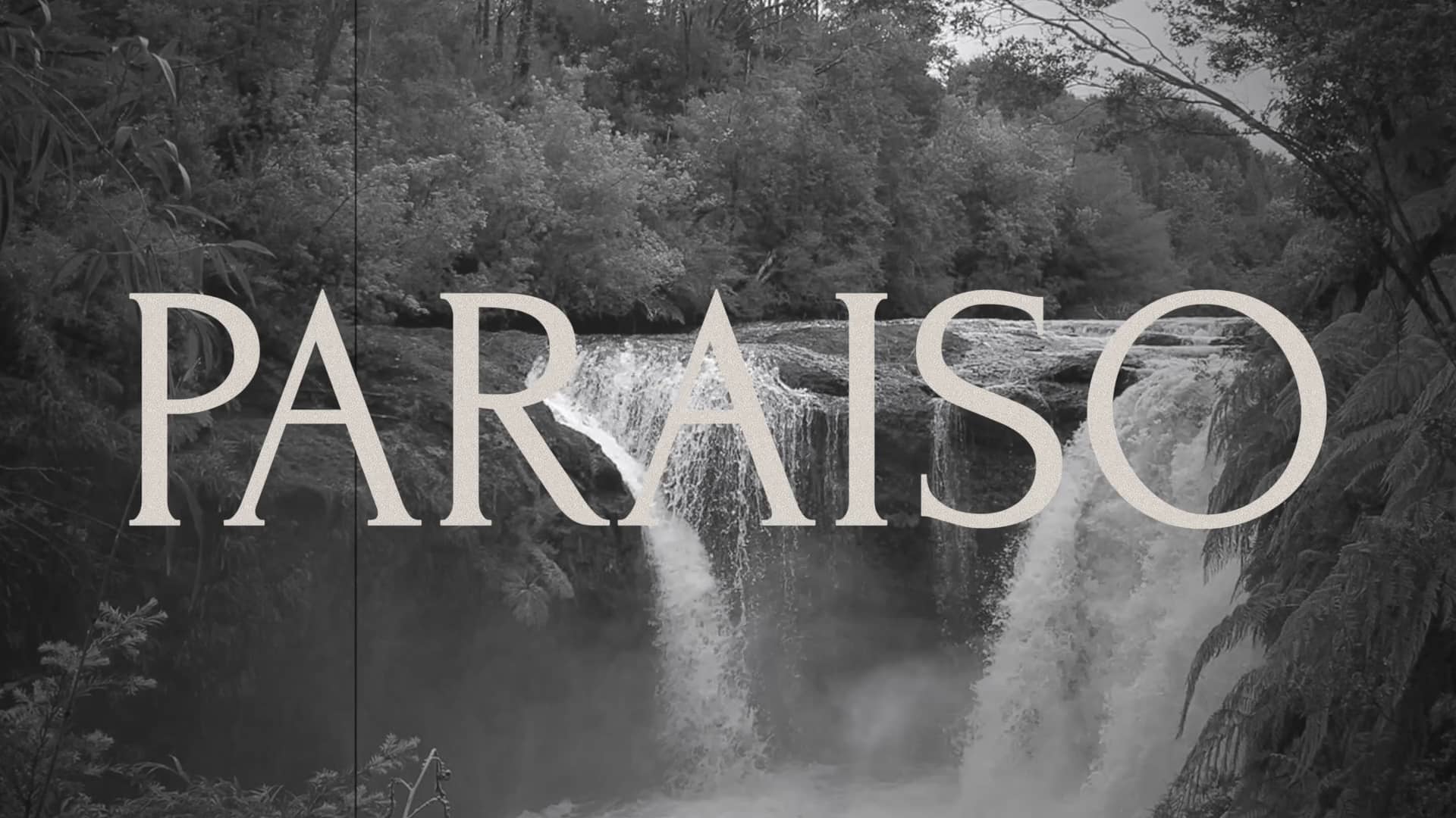 antonia-reyes-naturalist-illustrator-paraiso on Vimeo