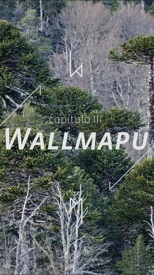 PROMOS y TEASERS MAPA MÁGICO DE CHILE - WALLMAPU 30 SEG VERTICAL on Vimeo