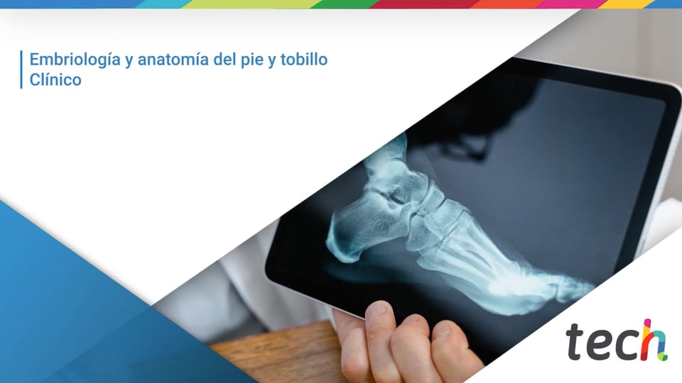 EMBRIOLOGÍA Y ANATOMÍA DEL PIE Y TOBILLO M1T1 CLÍNICO on Vimeo
