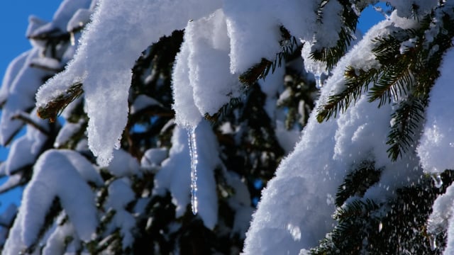 Melting Snow Videos: Download 2,499+ Free 4K & HD Stock Footage Clips ...