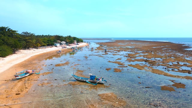 Ocean Green Beach - Free video on Pixabay