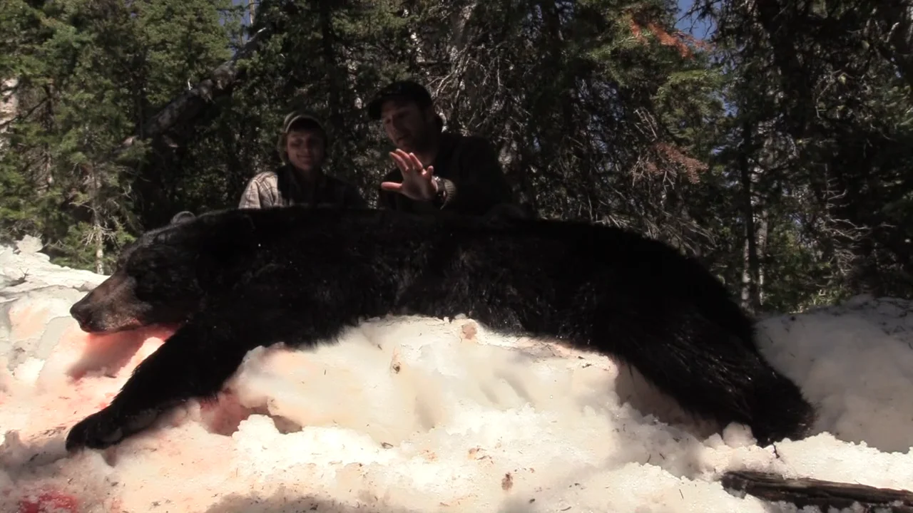 Recent Episodes - Mike's Black Bear Hunt in Idaho on Vimeo