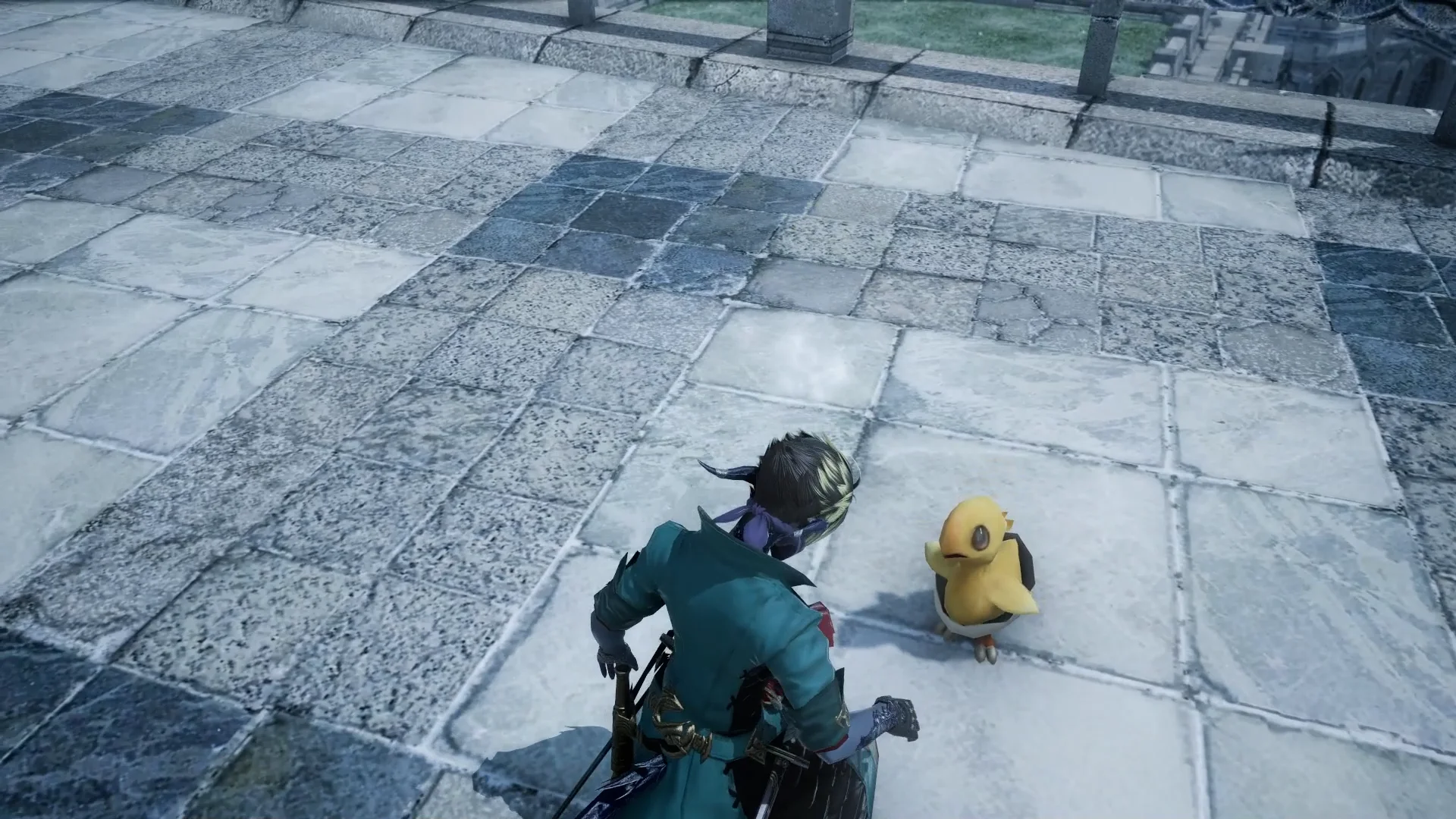 Pets