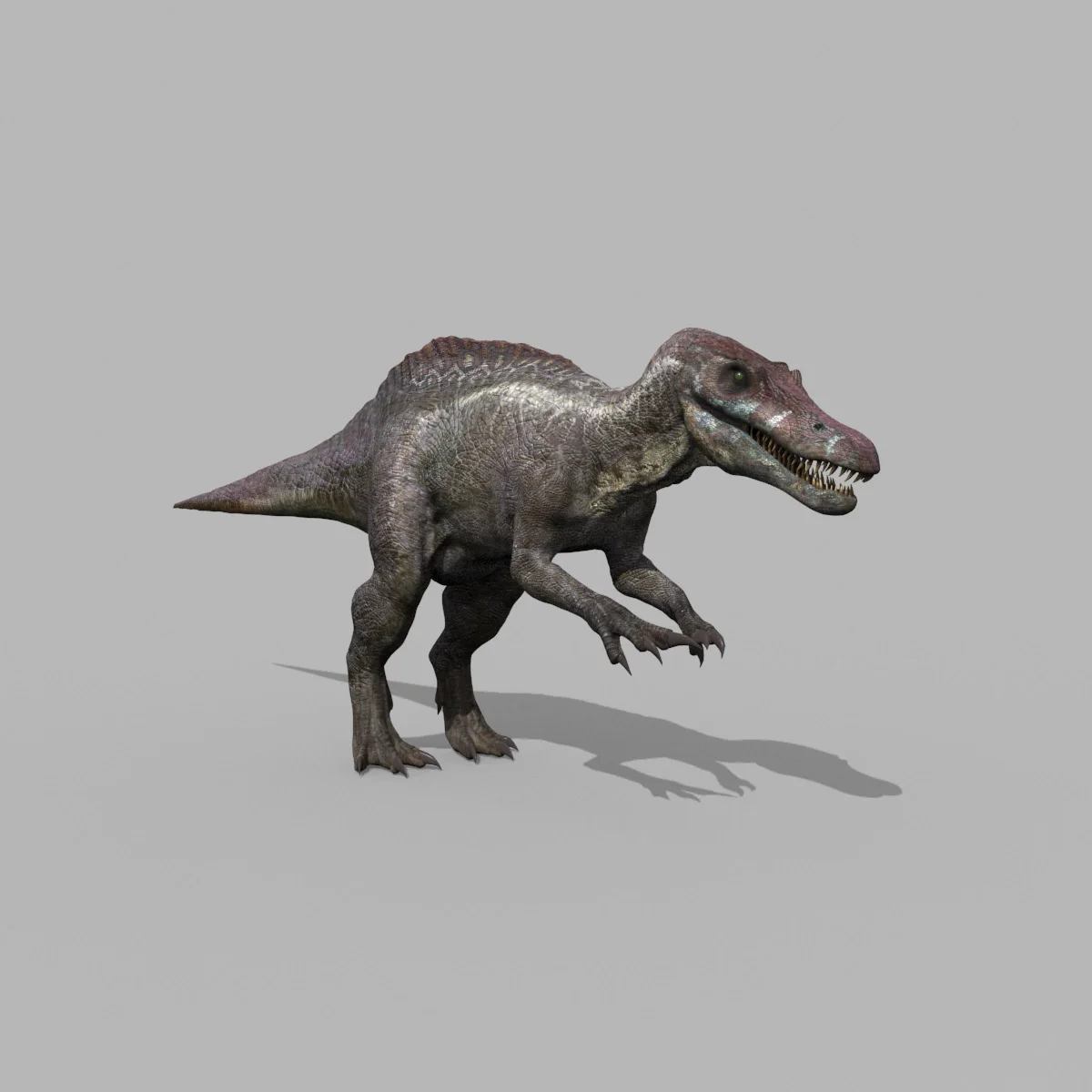 Suchomimus Tenerensis - 8K Animated 3D Model on Vimeo