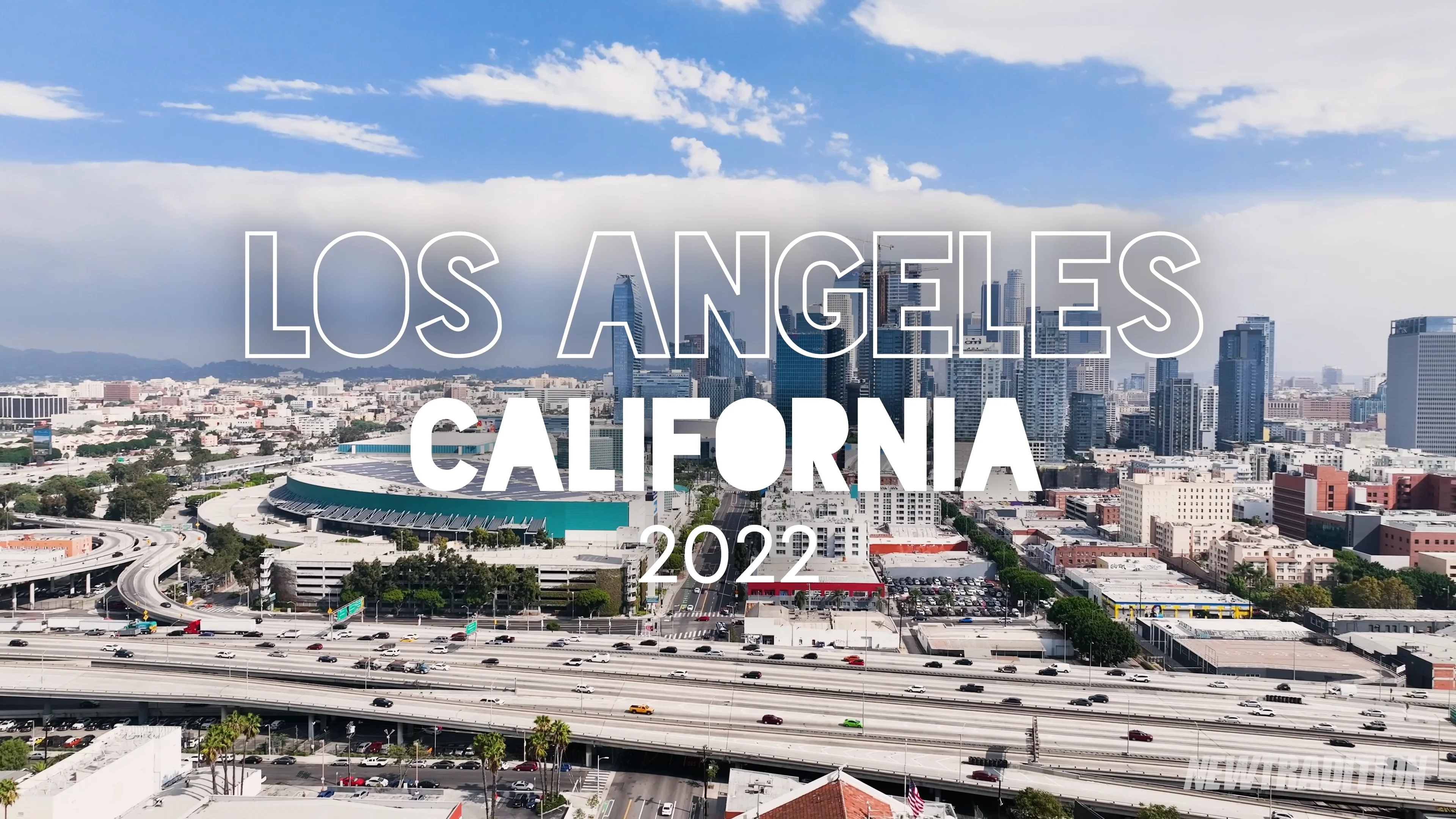 THE REEF – 2022 Spotlight on Vimeo