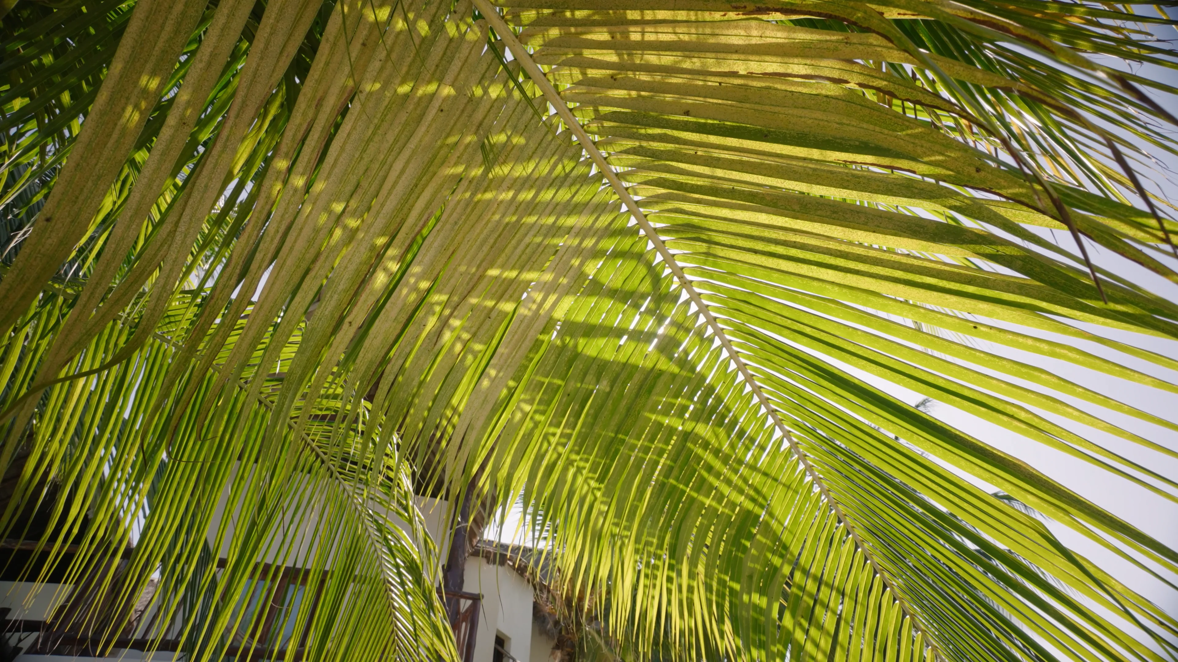 HM Hotel Holbox Teaser on Vimeo