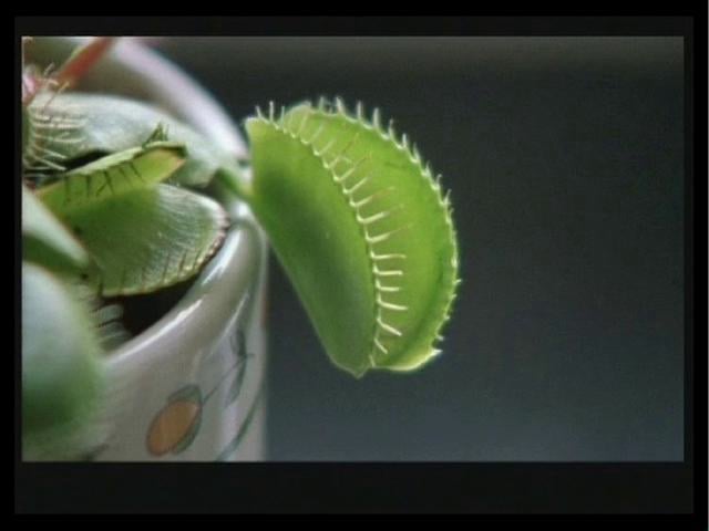 Heinz FlyTrap on Vimeo
