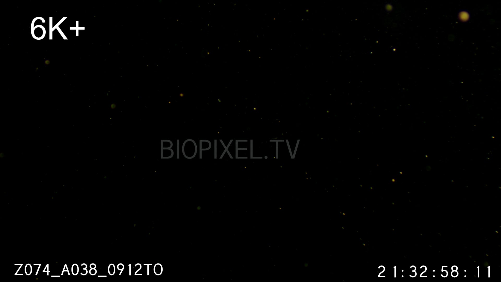 4K Reproduction Coral - Worm spawning with coral spawning probe lens 6K.mp4 on Vimeo