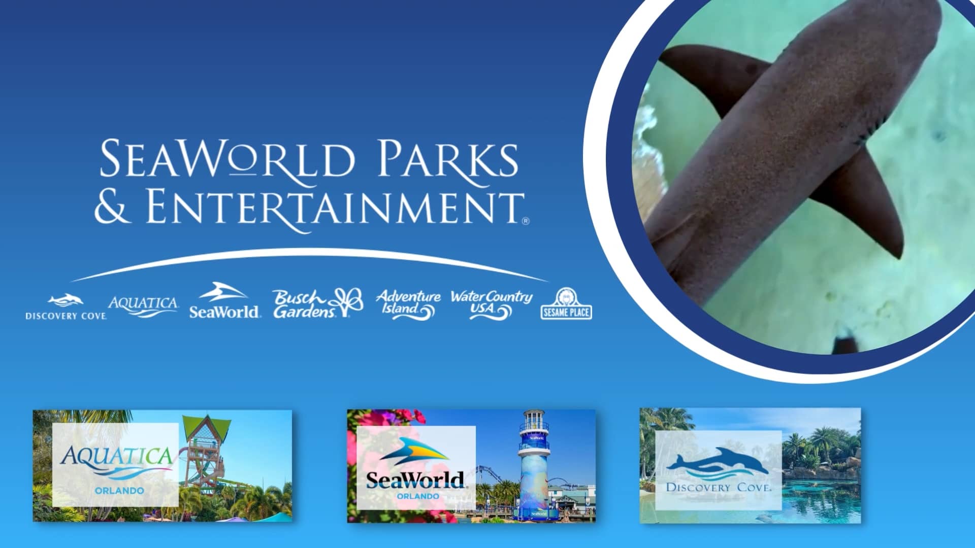 Welcome to SeaWorld Orlando on Vimeo