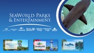 Welcome To SeaWorld Orlando On Vimeo