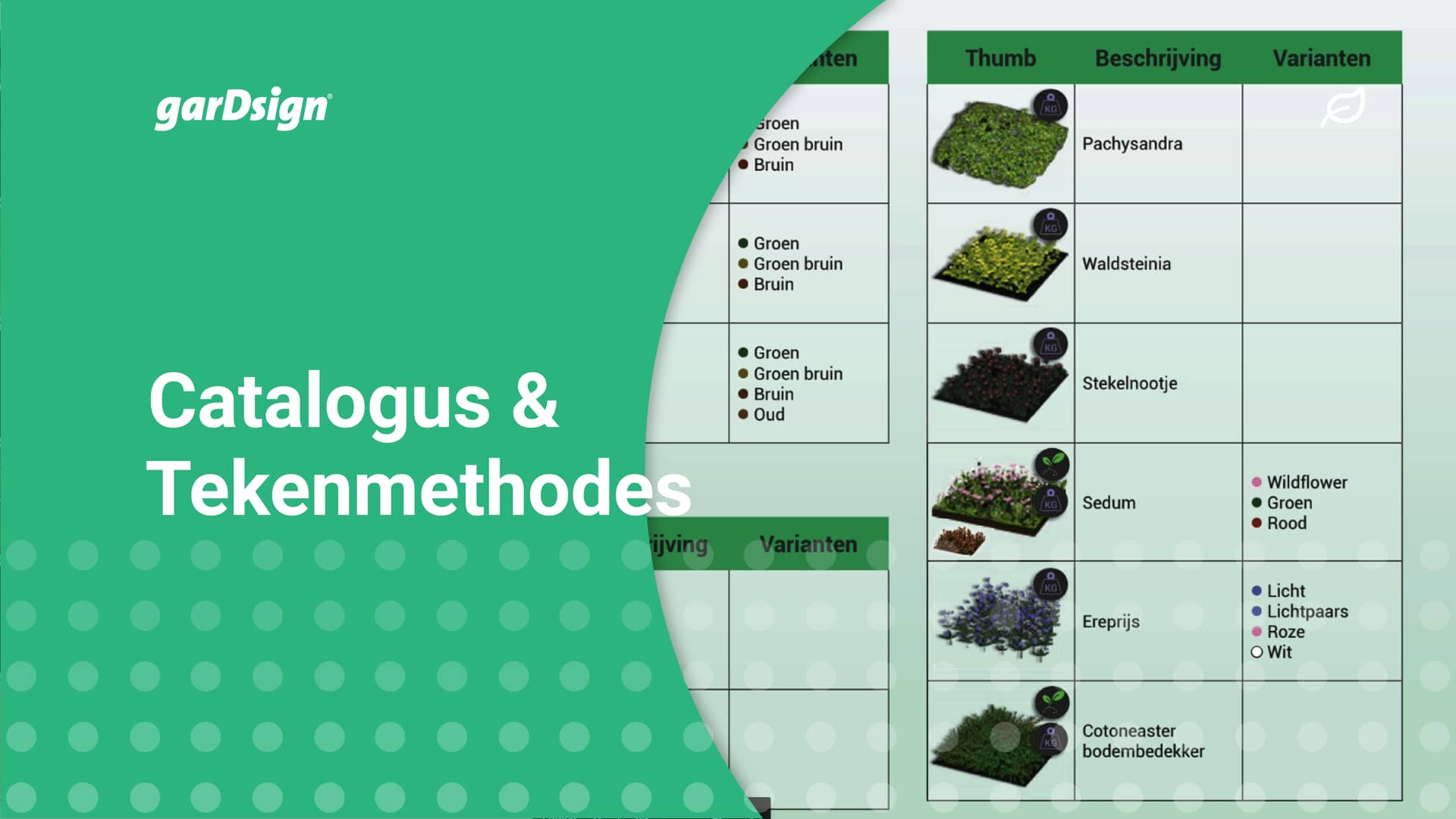 Catalogus & Tekenmethodes on Vimeo
