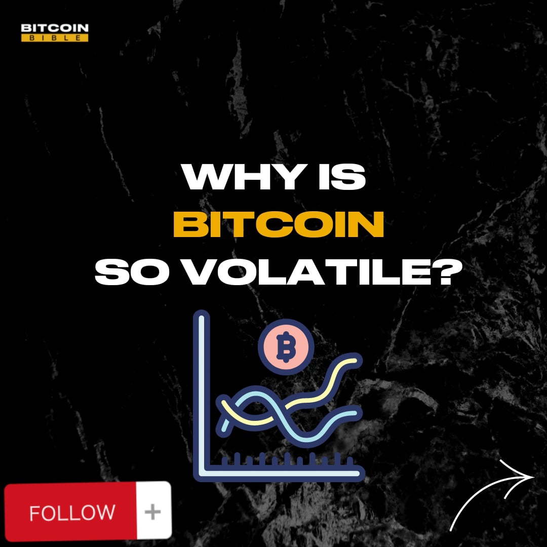 Why is Bitcoin so volatile? Watch to find out more! on Vimeo