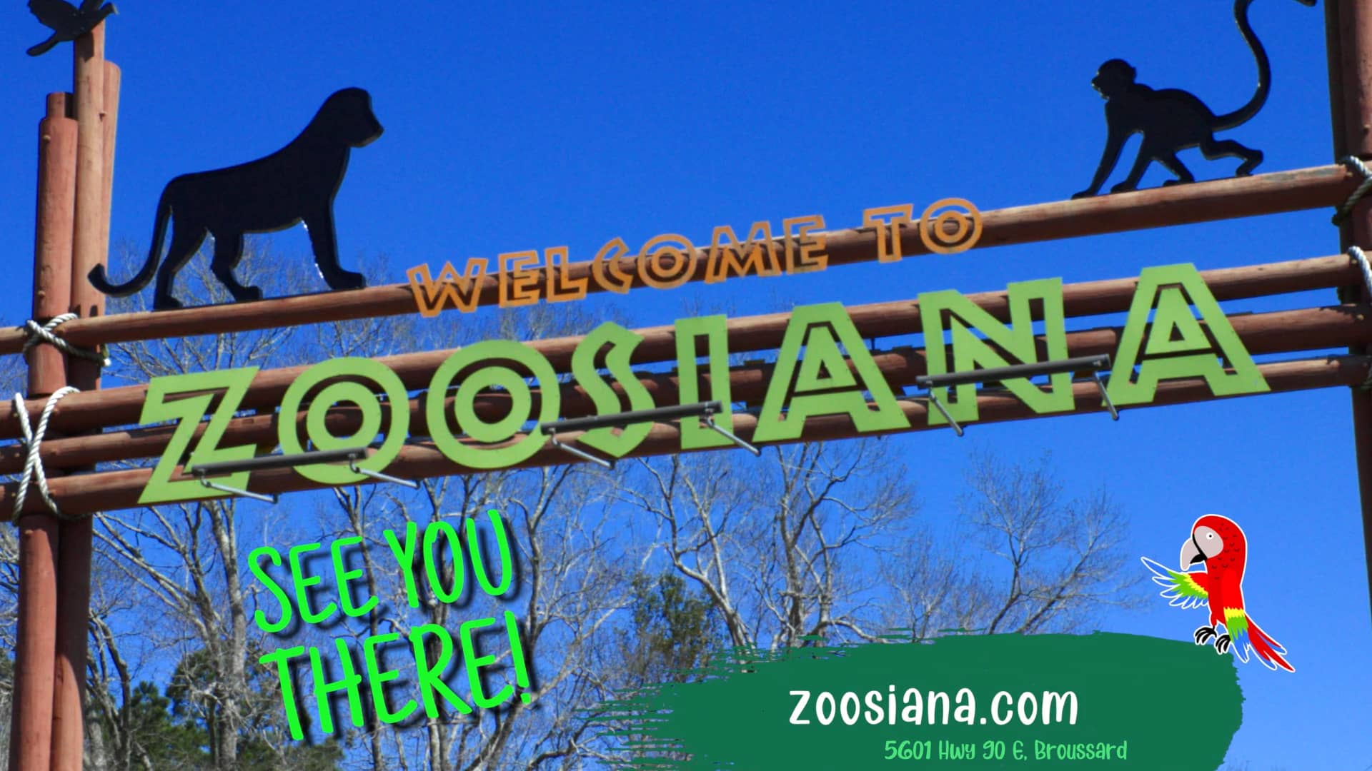 Zoosiana__Learn play see ride_1222.mov on Vimeo