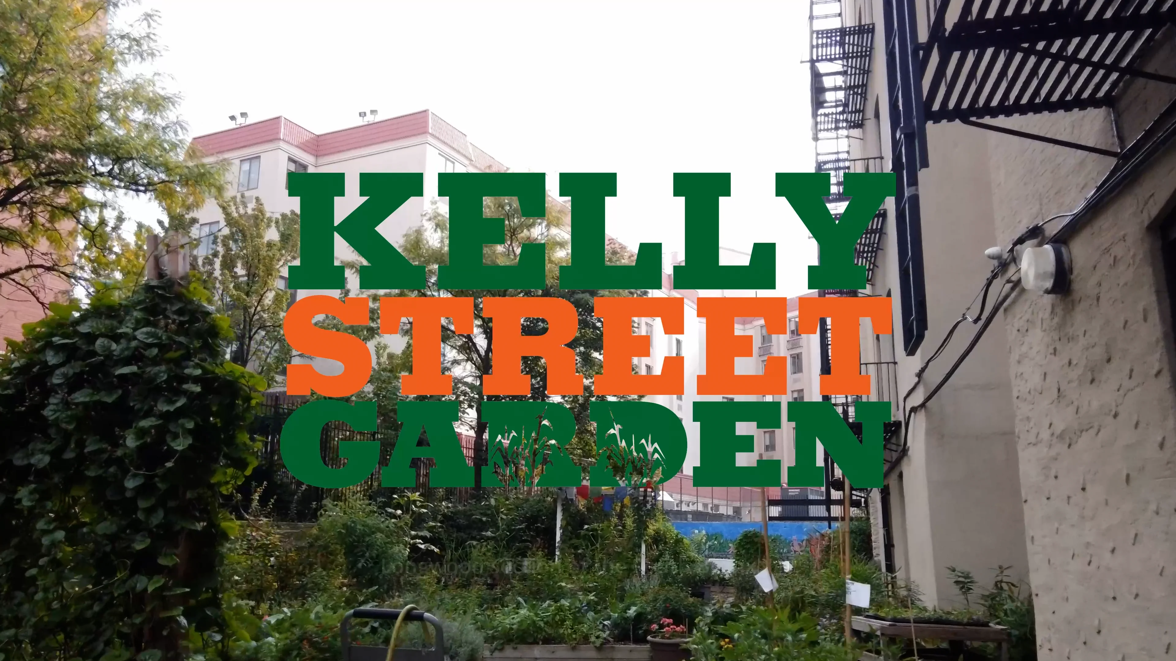 Matt Kohn - Film Portfolio - Kelly Street Garden on Vimeo