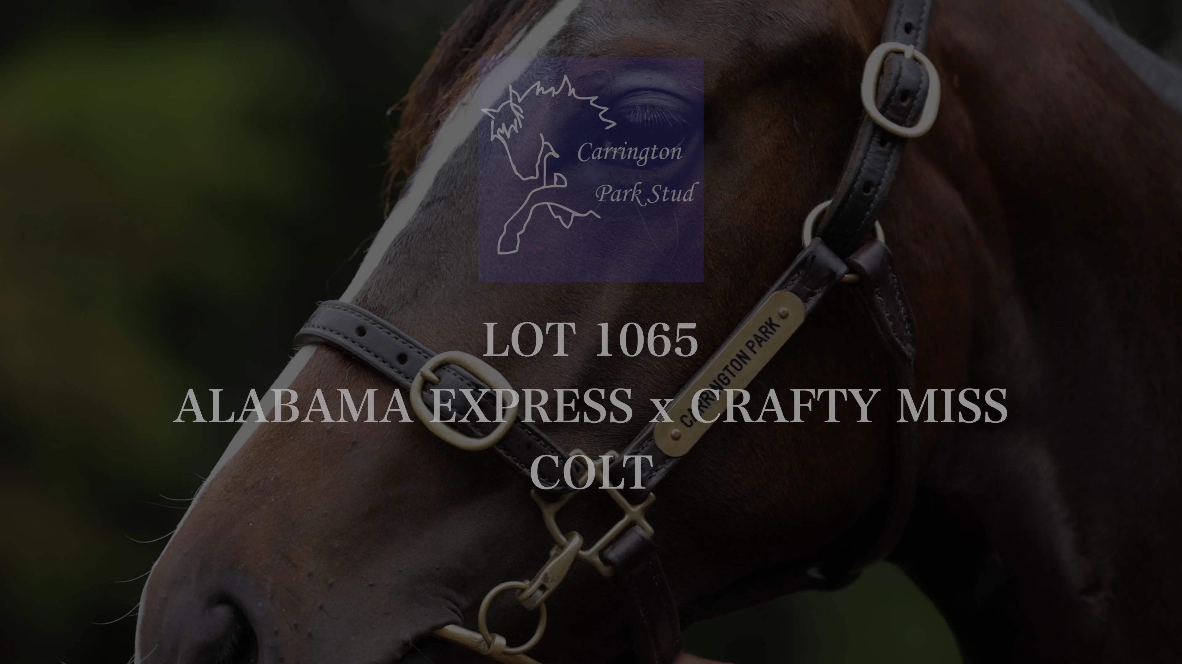 Alabama Express x Crafty Miss on Vimeo