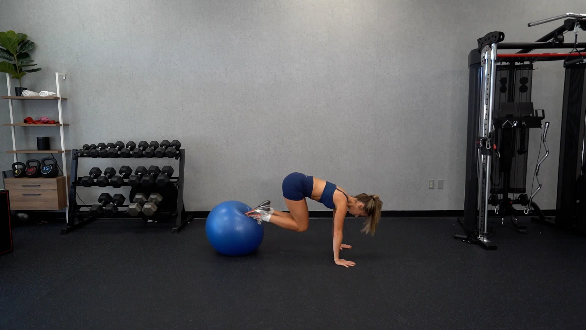 Core Exercise Ball Roll Ins.mp4 on Vimeo
