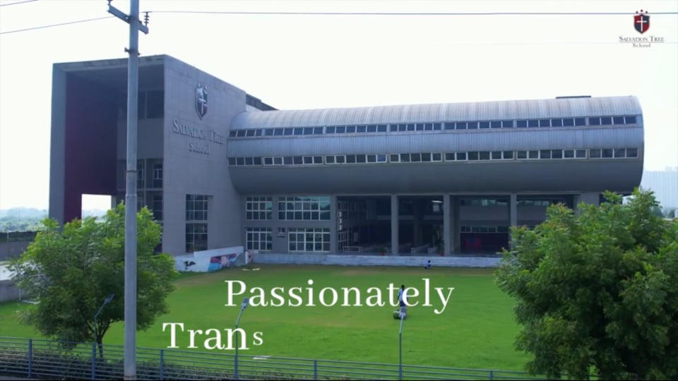 Best School in Noida - Salvation Tree School