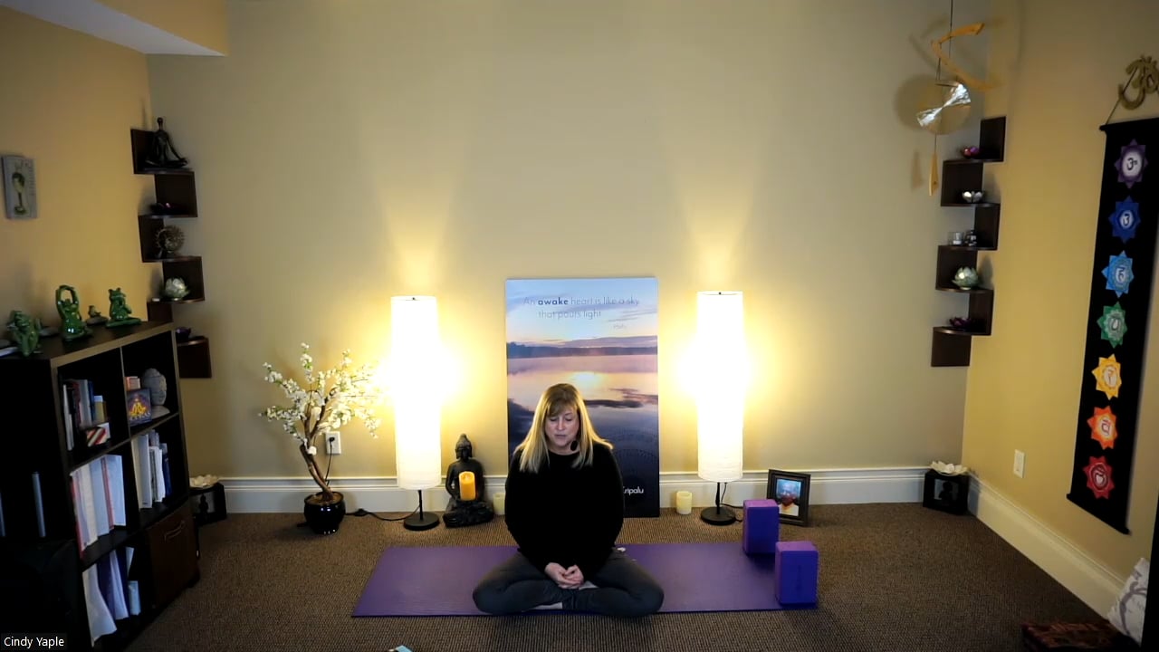 Watch Kripalu Yoga for Beginner's Online | Vimeo On Demand on Vimeo