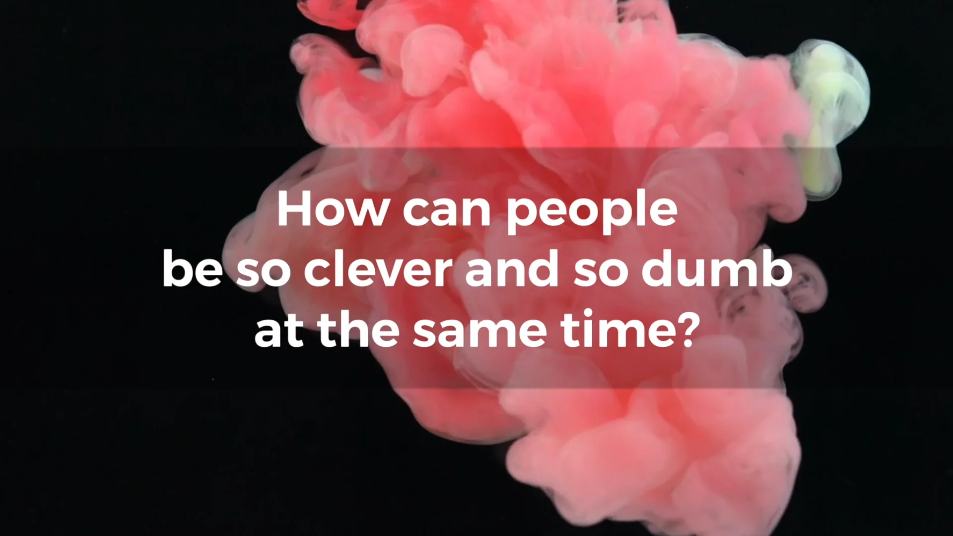 Introduction to Whole Brain on Vimeo