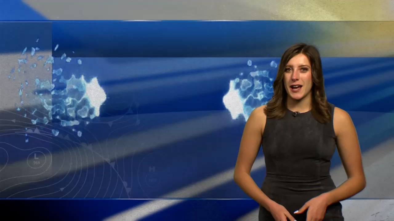 BVTV Live Today on Vimeo