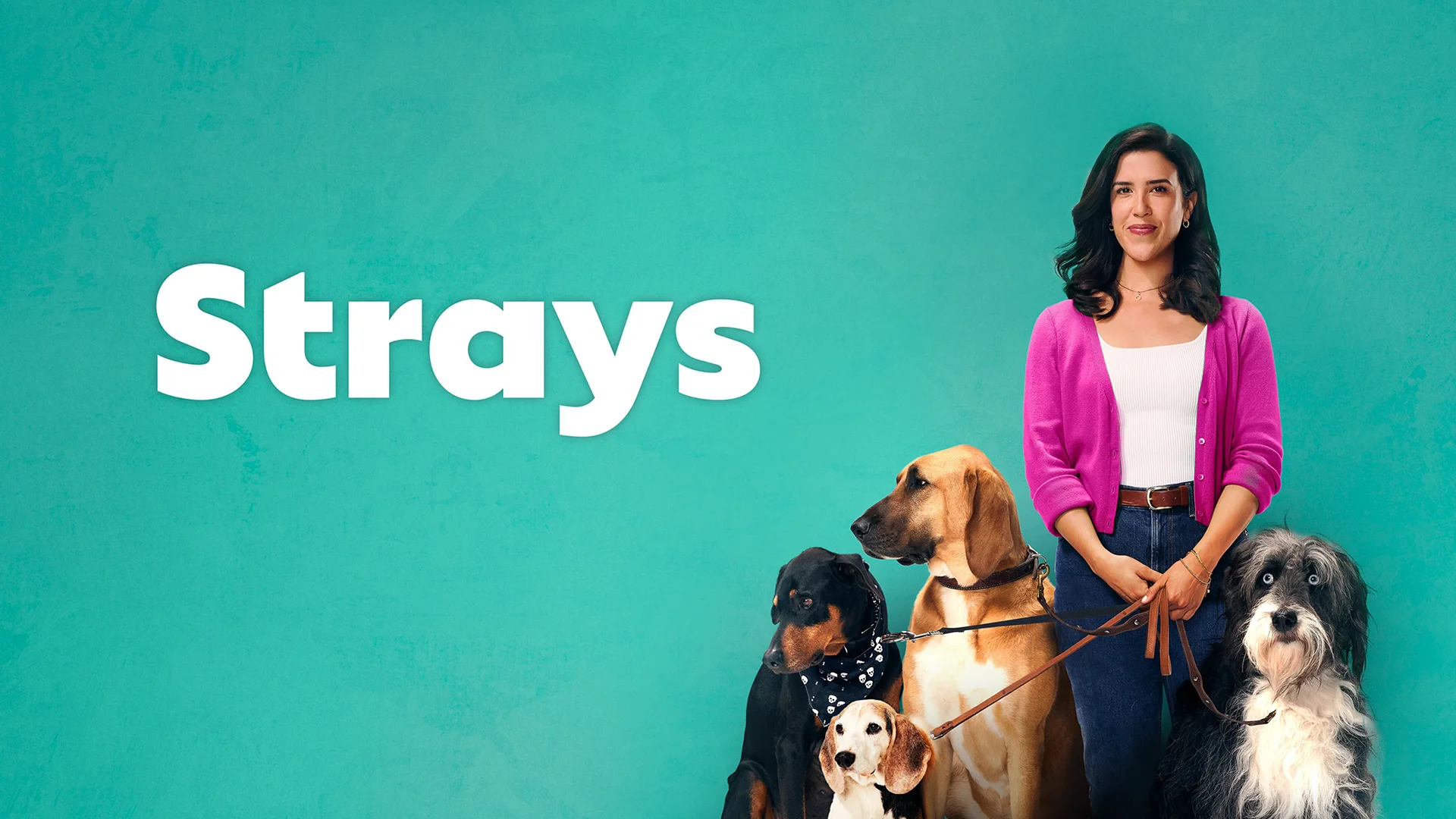 STRAYS // Official Trailer on Vimeo