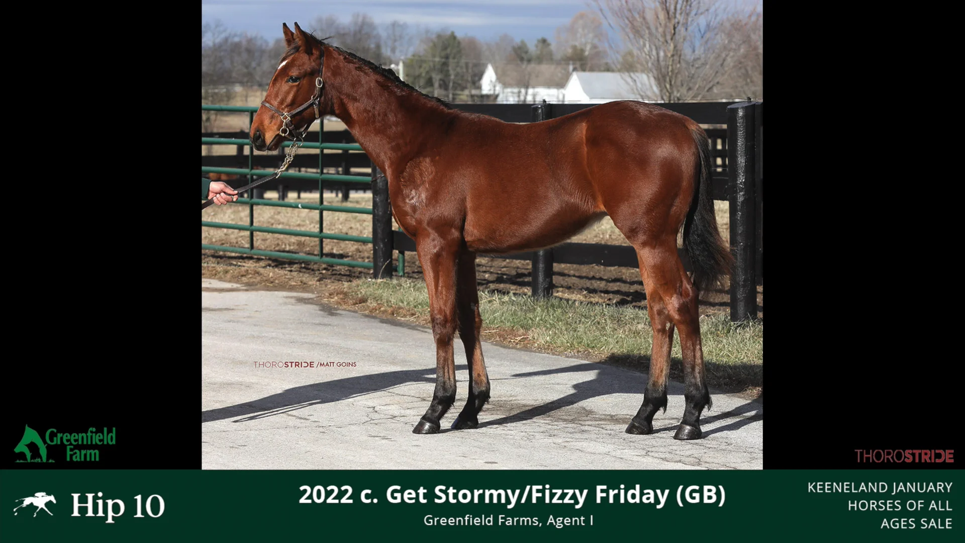 KEEJAN23_10_Fizzy Friday (GB) 22 on Vimeo