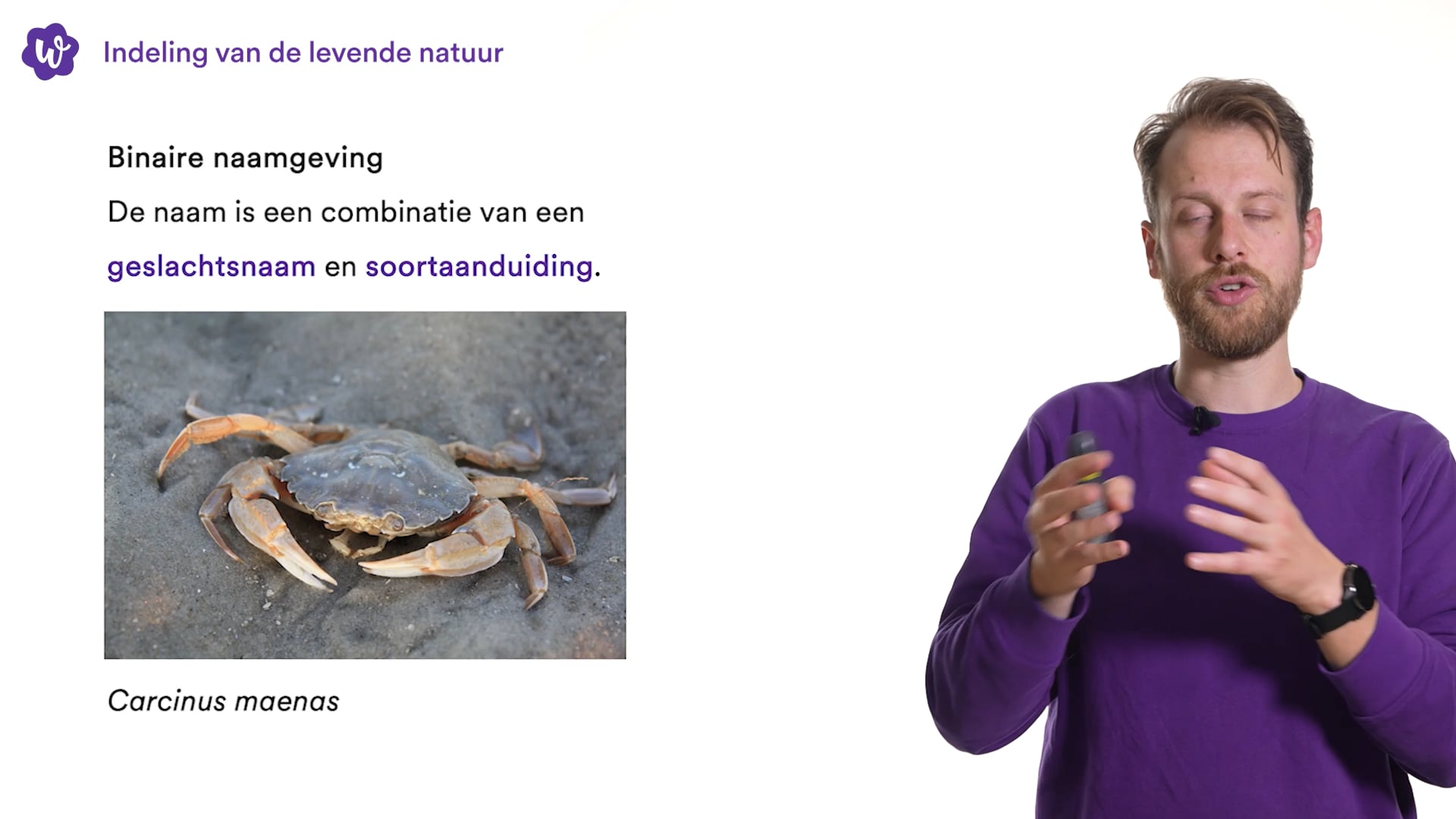 Indeling van de levende natuur oefenen | StudyGo