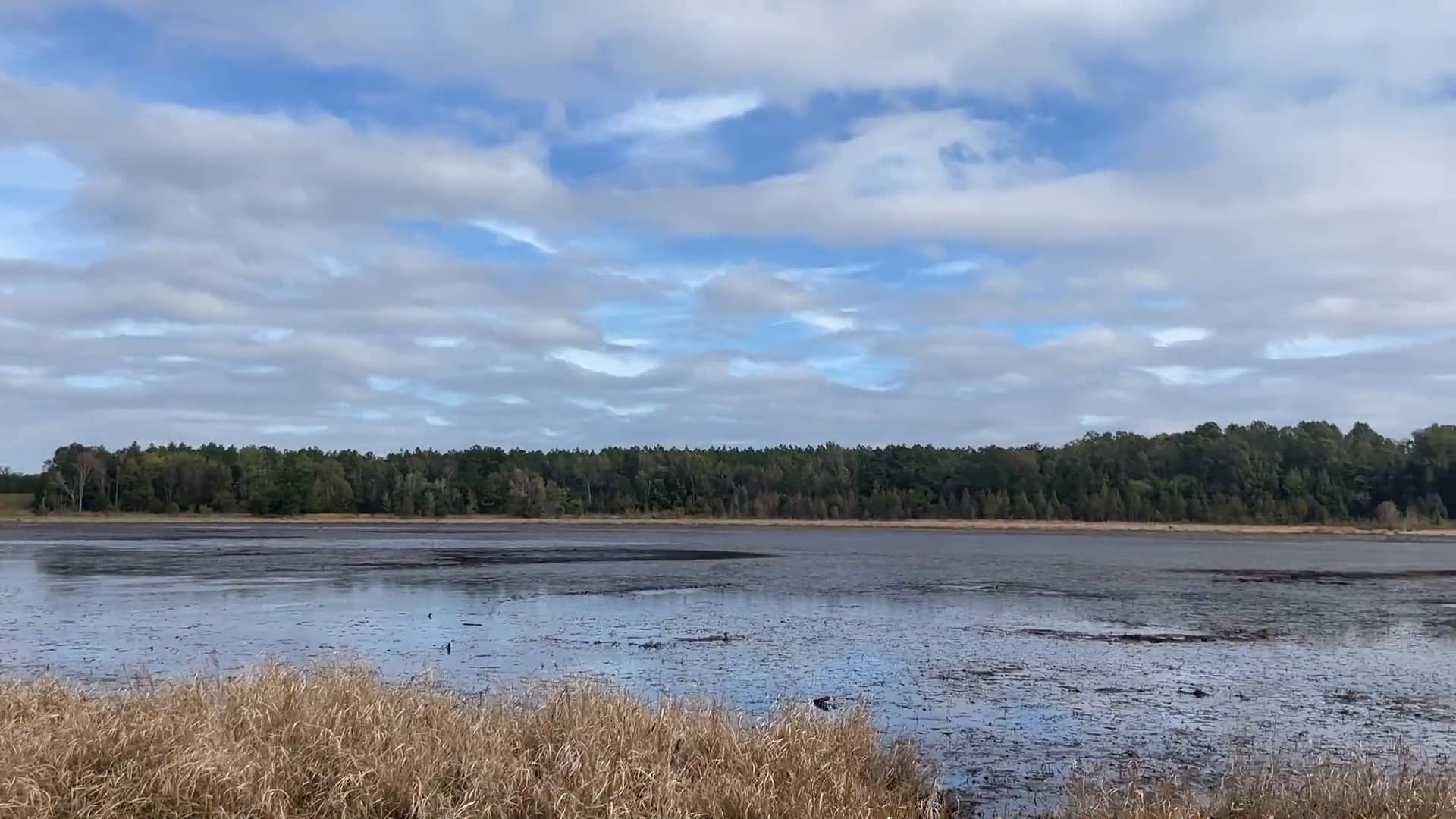 Hay Pond at a Glance on Vimeo