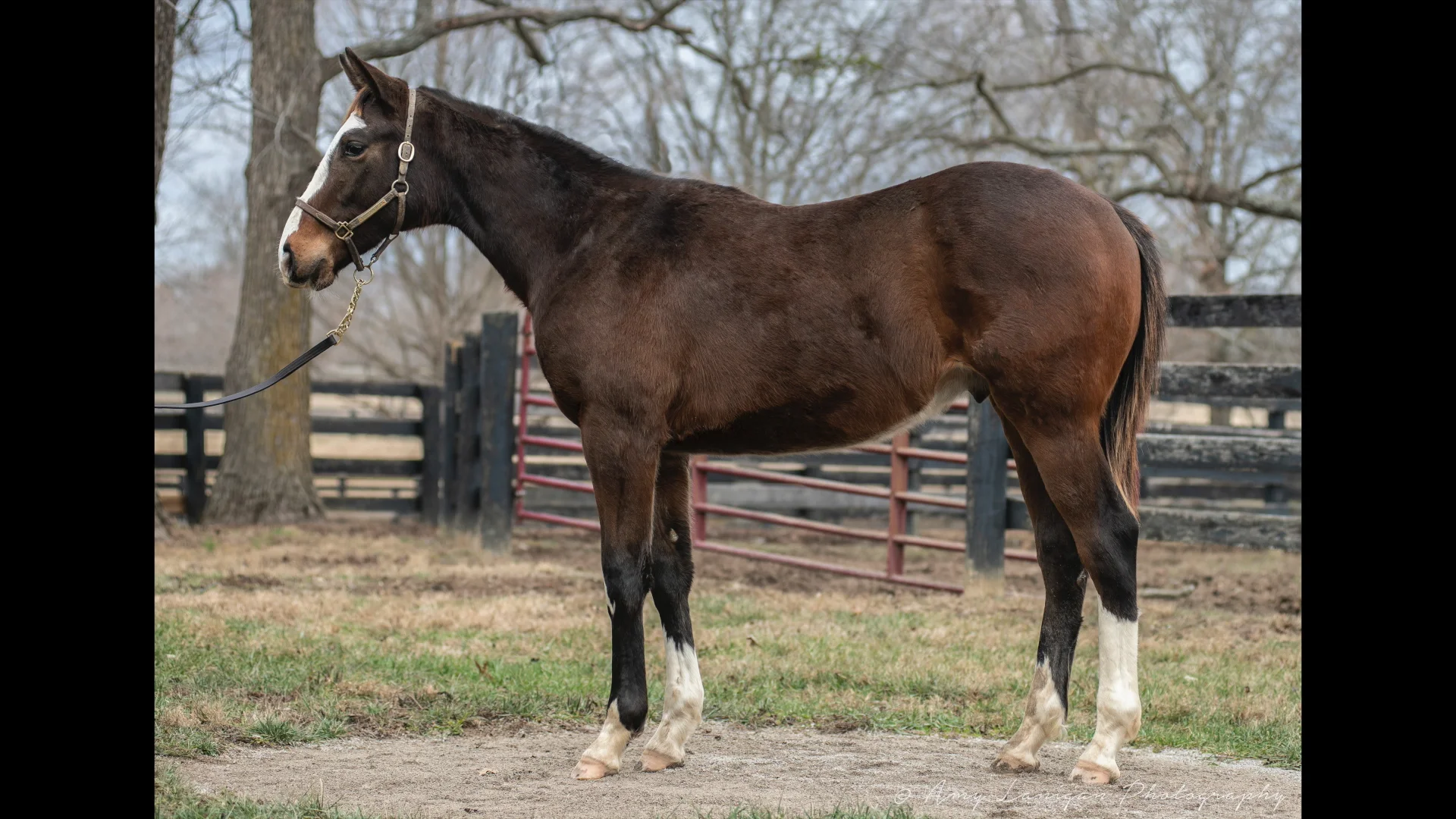 Hip_1071_KEEJAN23-Tryon_Summer on Vimeo