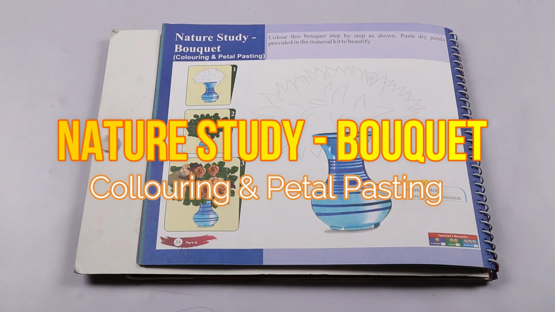Nature Study Bouquet — Colouring & Petal Pasting (Pg-34) on Vimeo