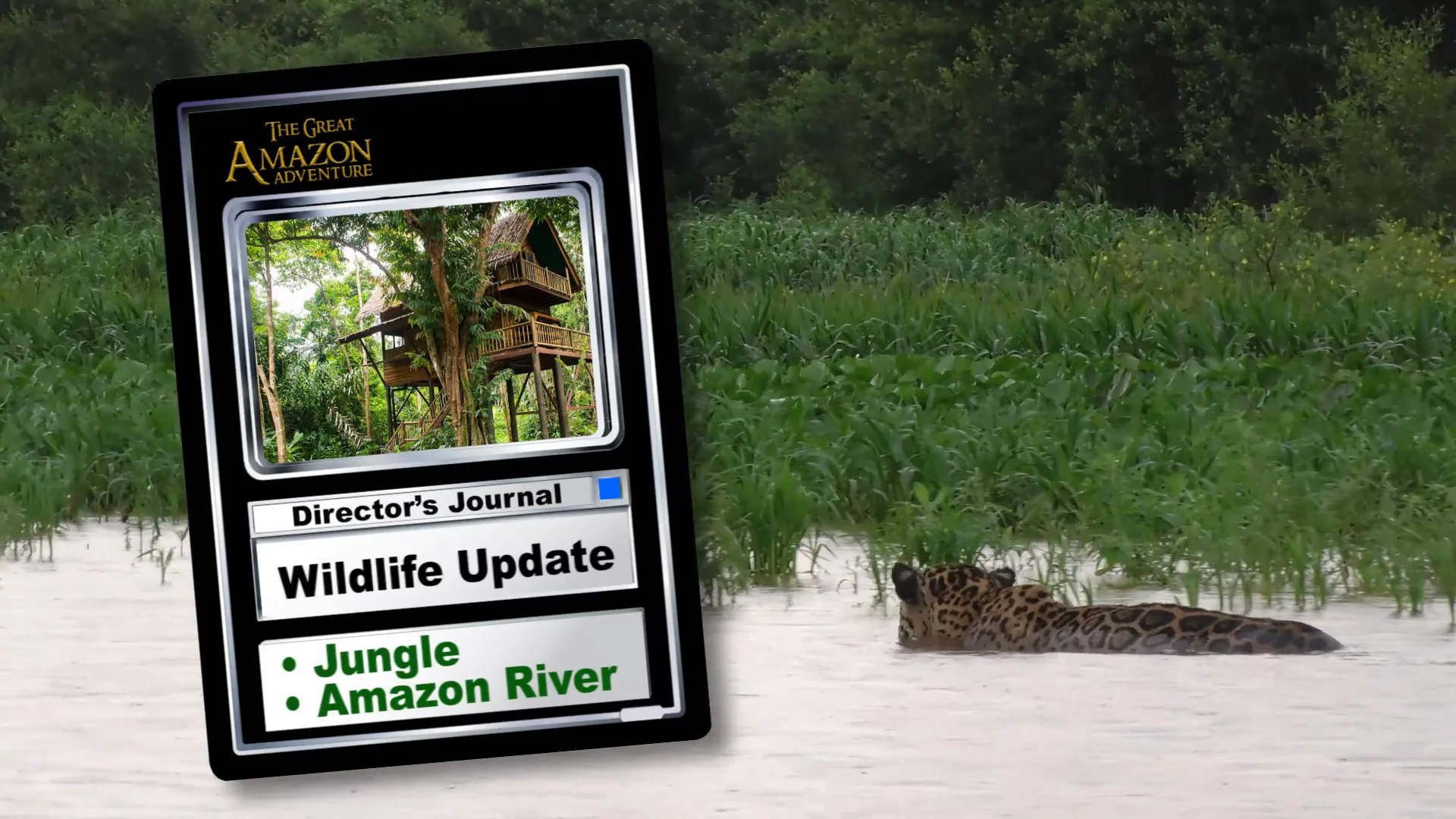 The Great Amazon Adventure Open - 2023 on Vimeo