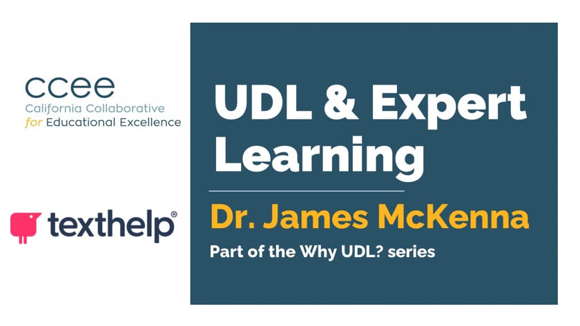 UDL and Expert Learning