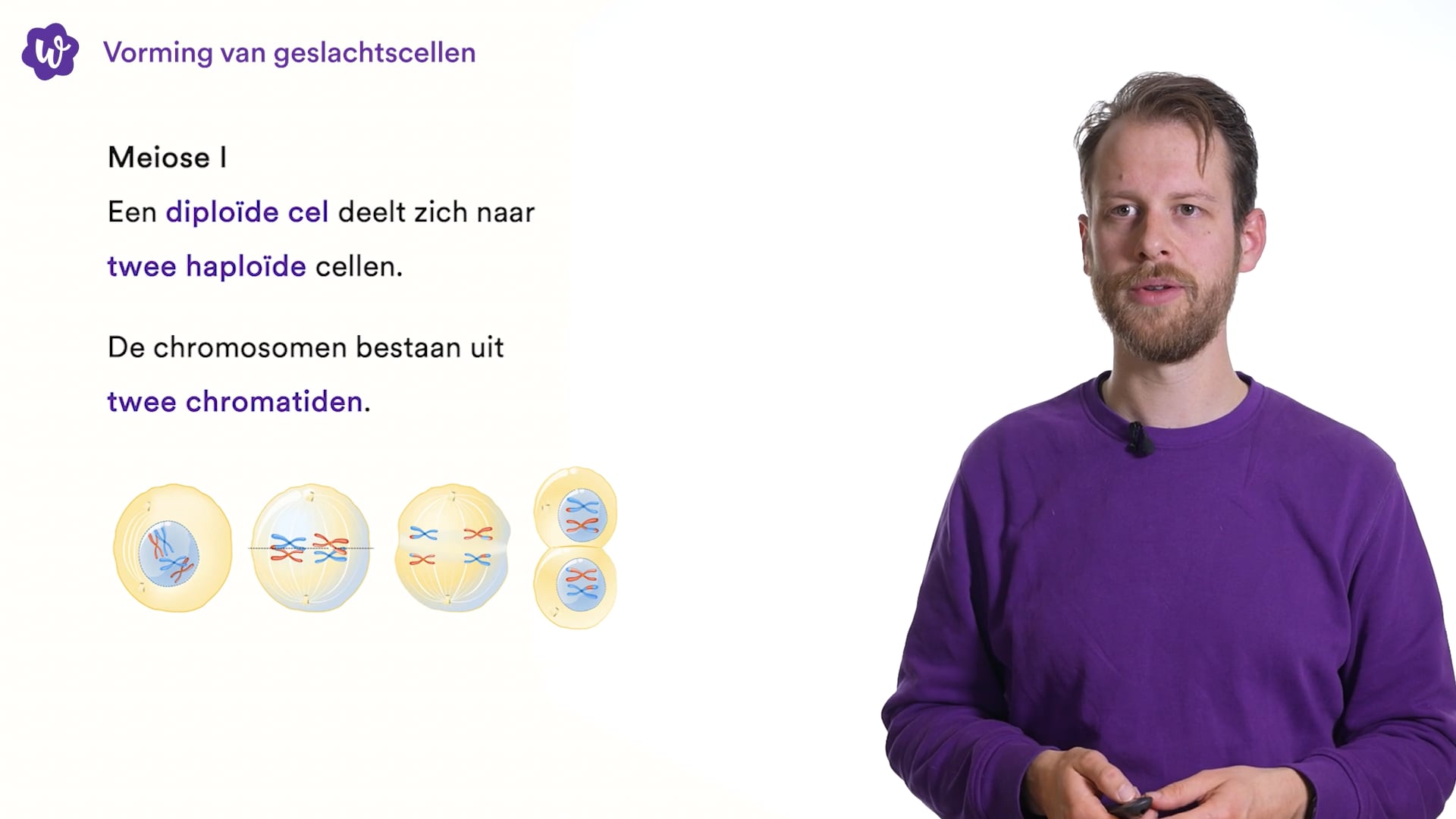 Vorming geslachtscellen oefenen | StudyGo