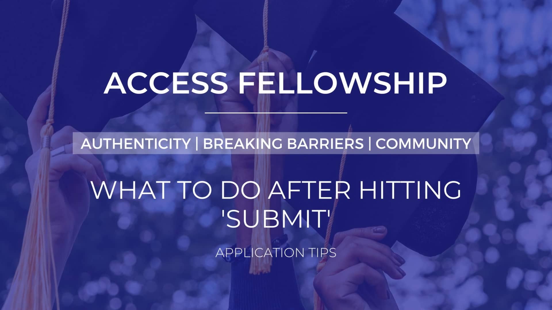 The Access Fellowship - What to do after hitting 'submit' on Vimeo
