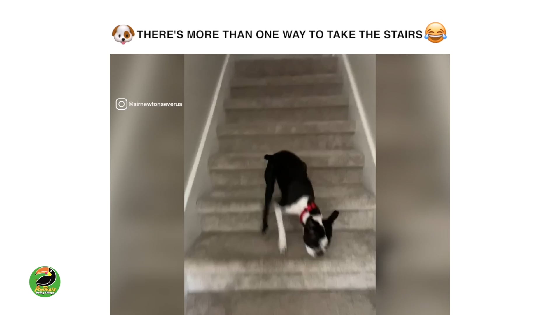 ADT-Stairs.mov on Vimeo