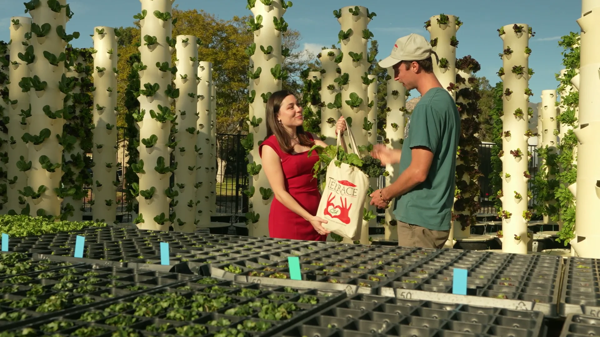 The Terrace Foundation CSA Program PSA "Overview" on Vimeo