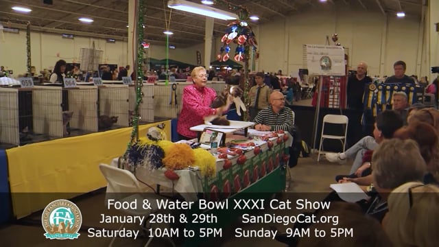 CFA's San Diego Cat Show