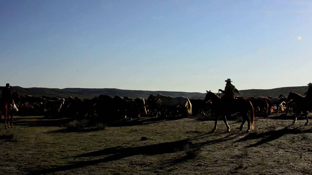 Sombrero Ranch & The Great American Horse Drive on Vimeo