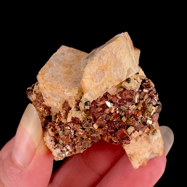 Ankerite with Pyrite | Spruce Ridge, Middle Fork of the Snoqualmie ...