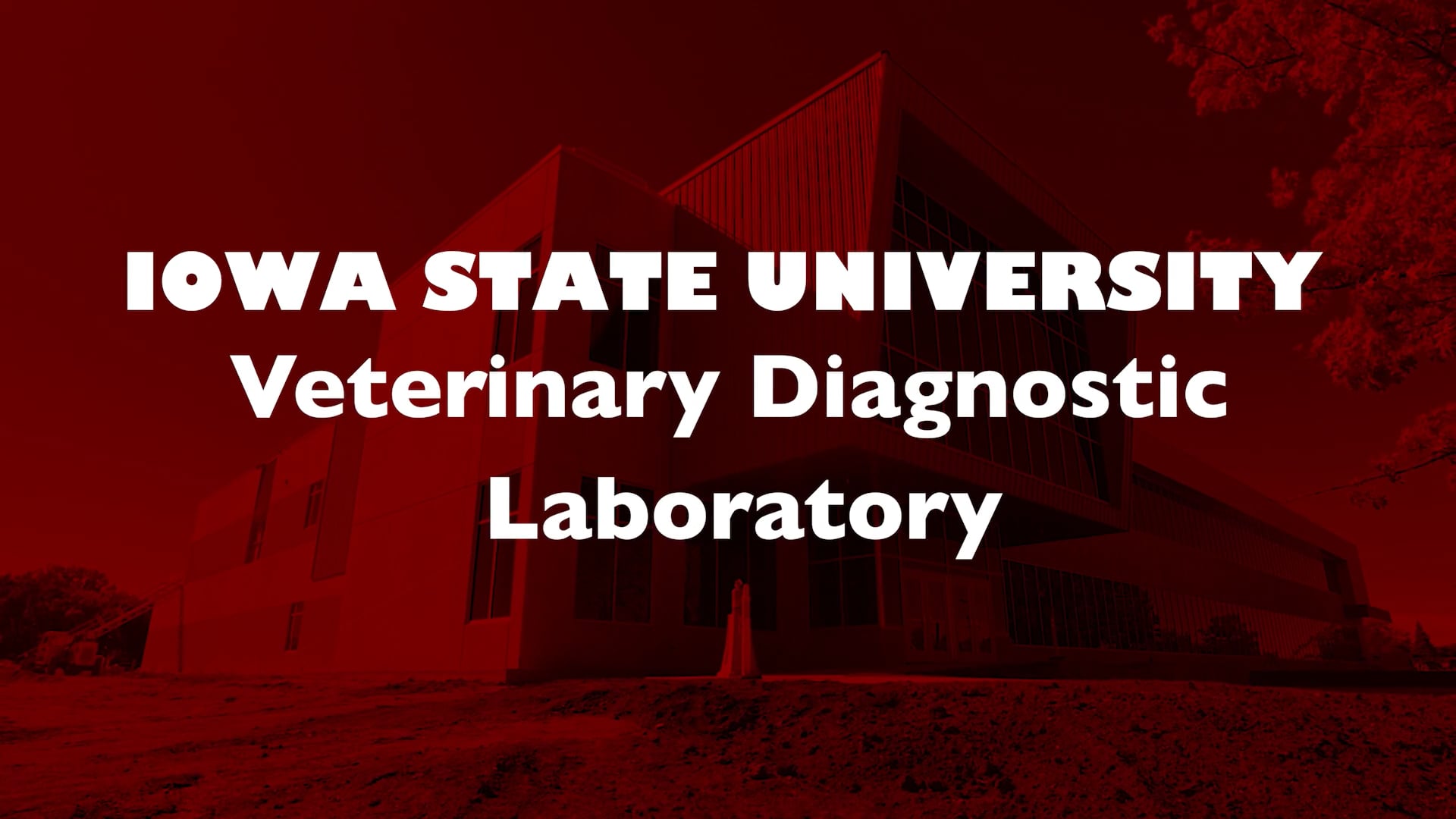 Inside the Project - Iowa State University Veterinary Diagnostic ...