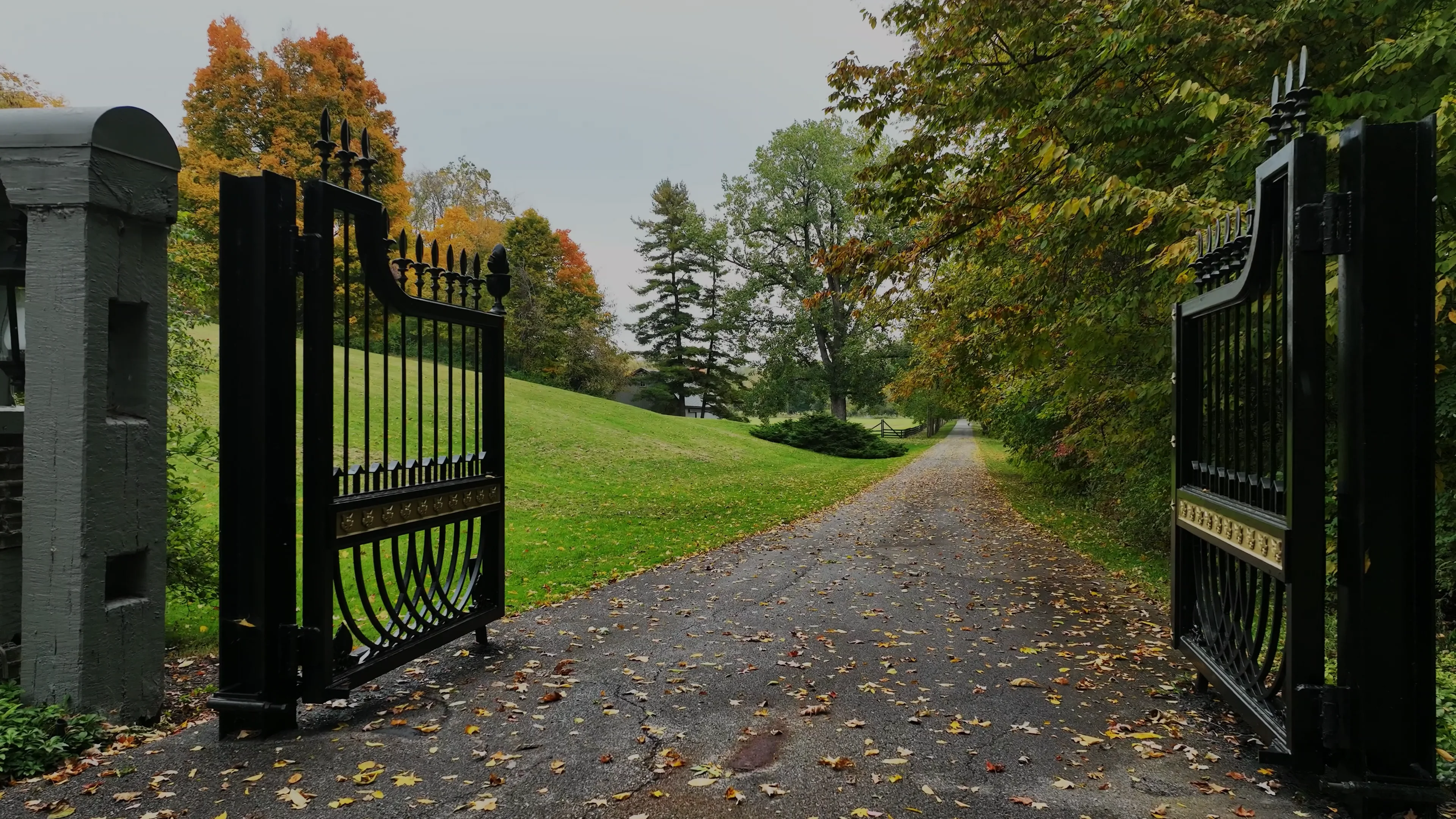 Covington Manor Farms