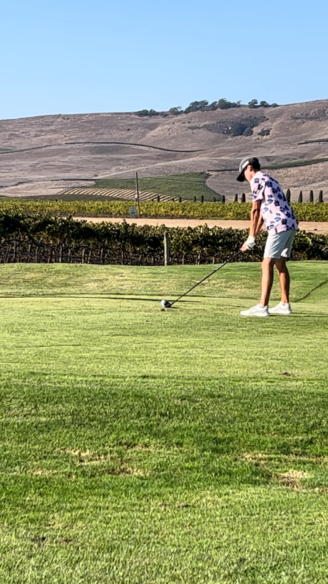 Carson Driver Chardonnay on Vimeo