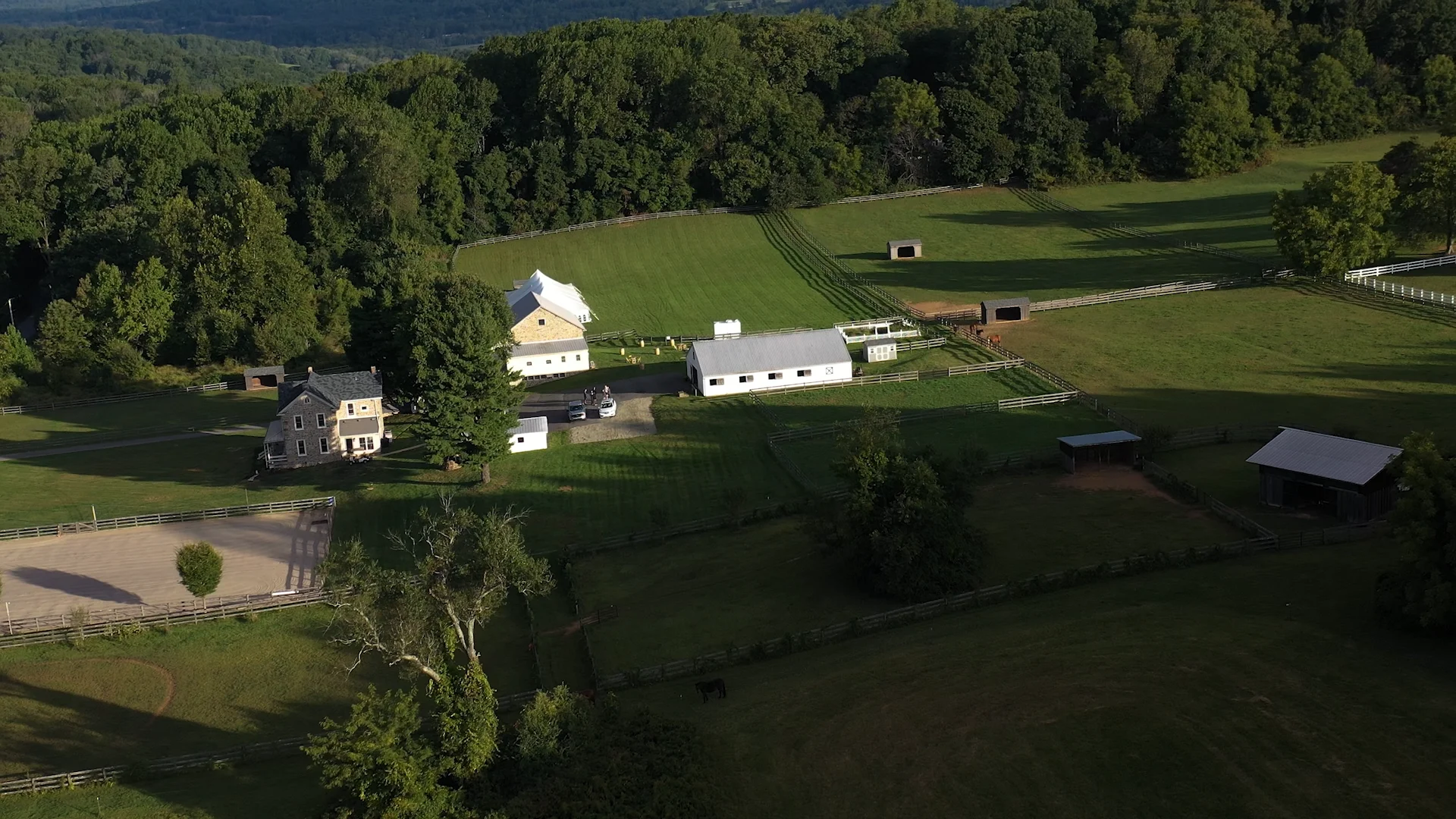 The Wedding of Dr. Jon Fabriziani & Mrs. Colleen Fabriziani - Wedding ...