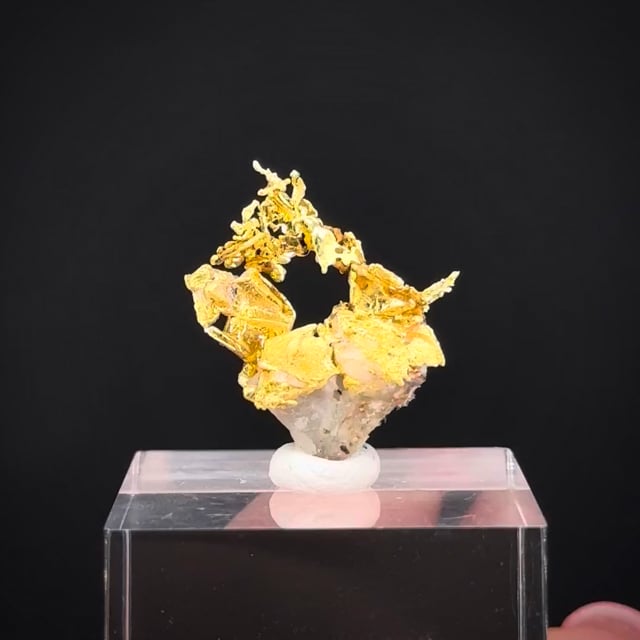 Gold on Quartz - FTN23-26 - Michigan Bluff Mining Dist. - USA Mineral ...